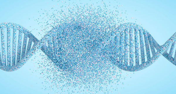 What happens when our skin cell DNA is damaged? – Dermaskinshop MY